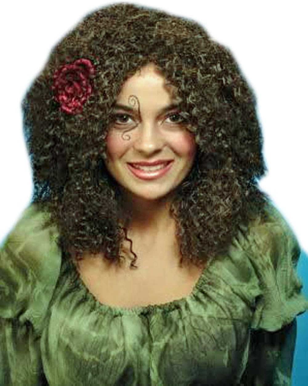 Amazon.com: Gypsy Adult Costume Wig Brown