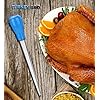 Amazon.com: Long Turkey Basters for Cooking with Measurements, Only for ...