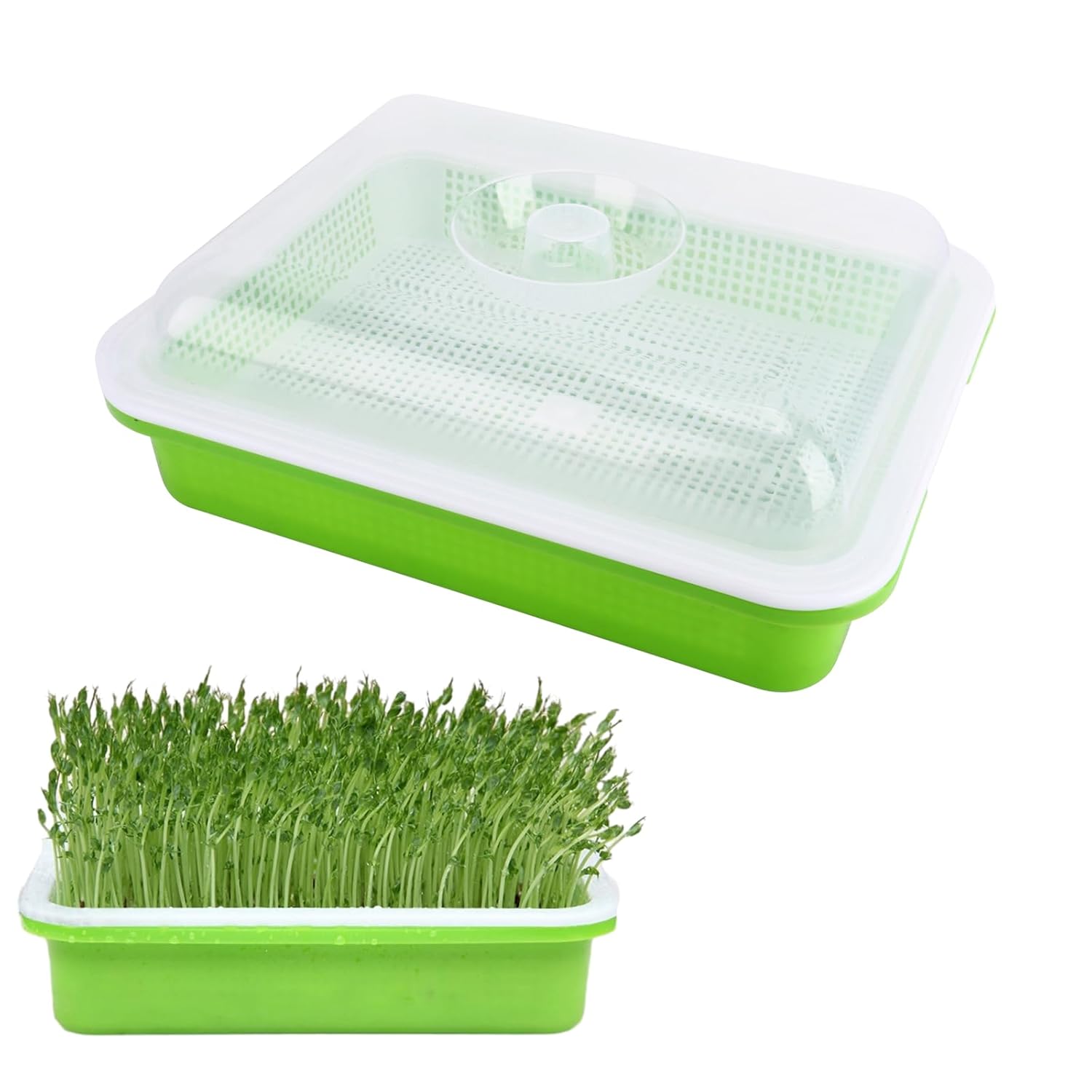 Homend Seed Sprouter Tray With Lid, Seed Germination Tray BPA Free ...