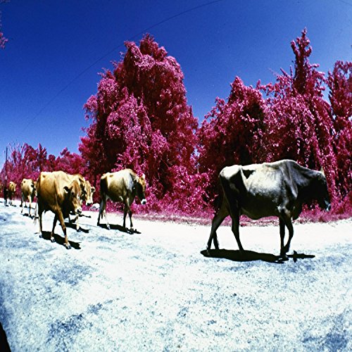 Play Fresh Cream by duvid on Amazon Music