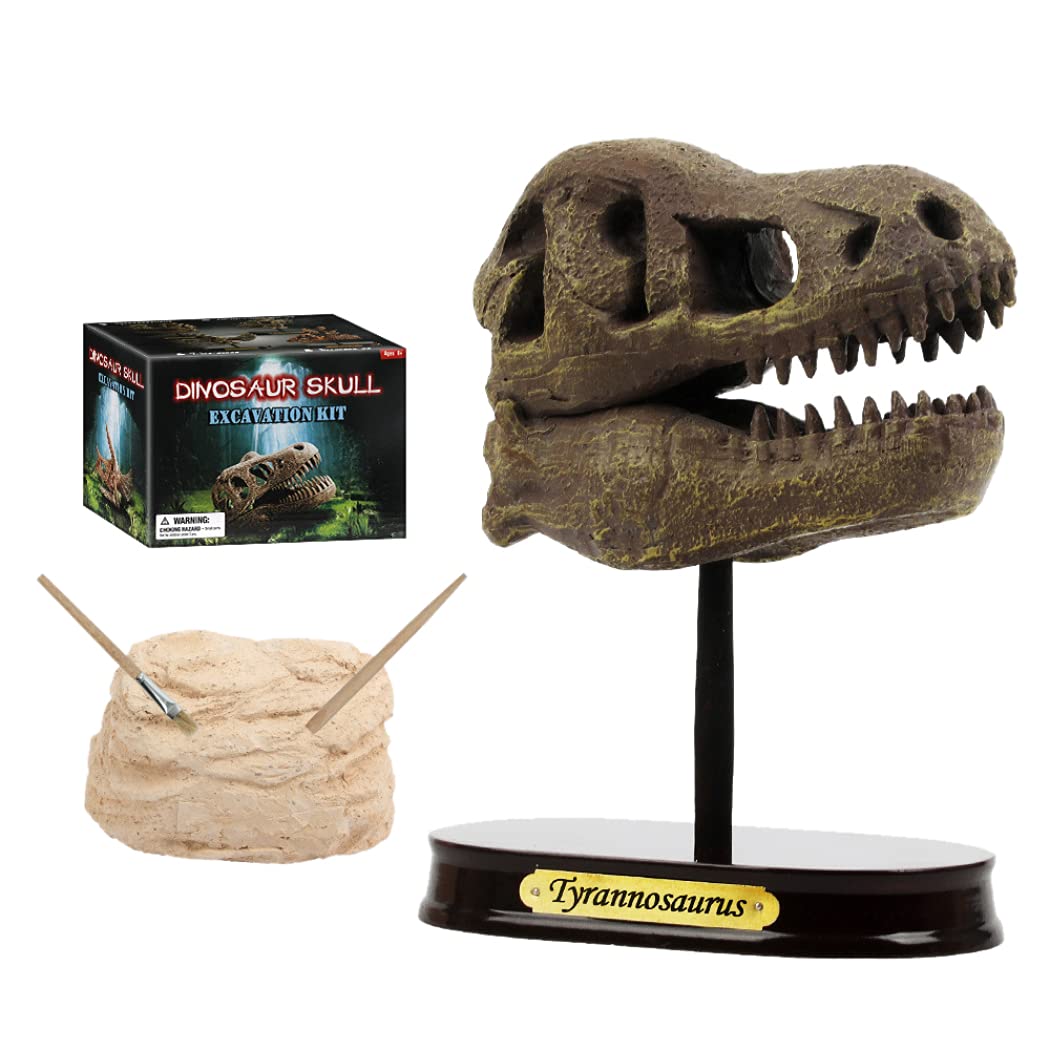 SOWUNO Dinosaur Skeleton Model Kit Realistic PVC Dinosaur Fossil Kit ...