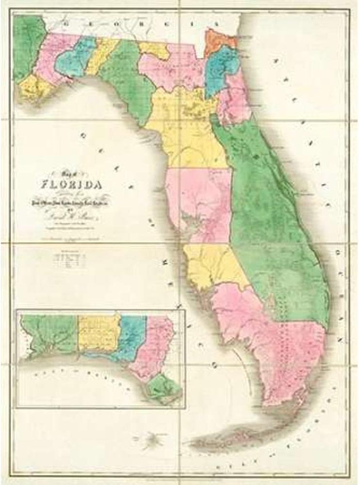 Amazon.com: Home Comforts Large Detailed Physical map of Florida state ...