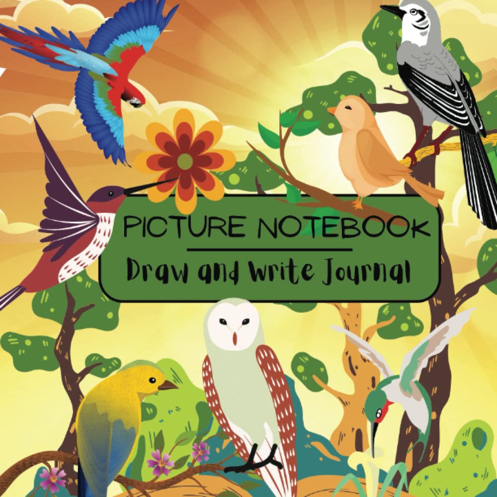 Amazon.com: Draw a Picture Notebook: Story Journal for Children to ...