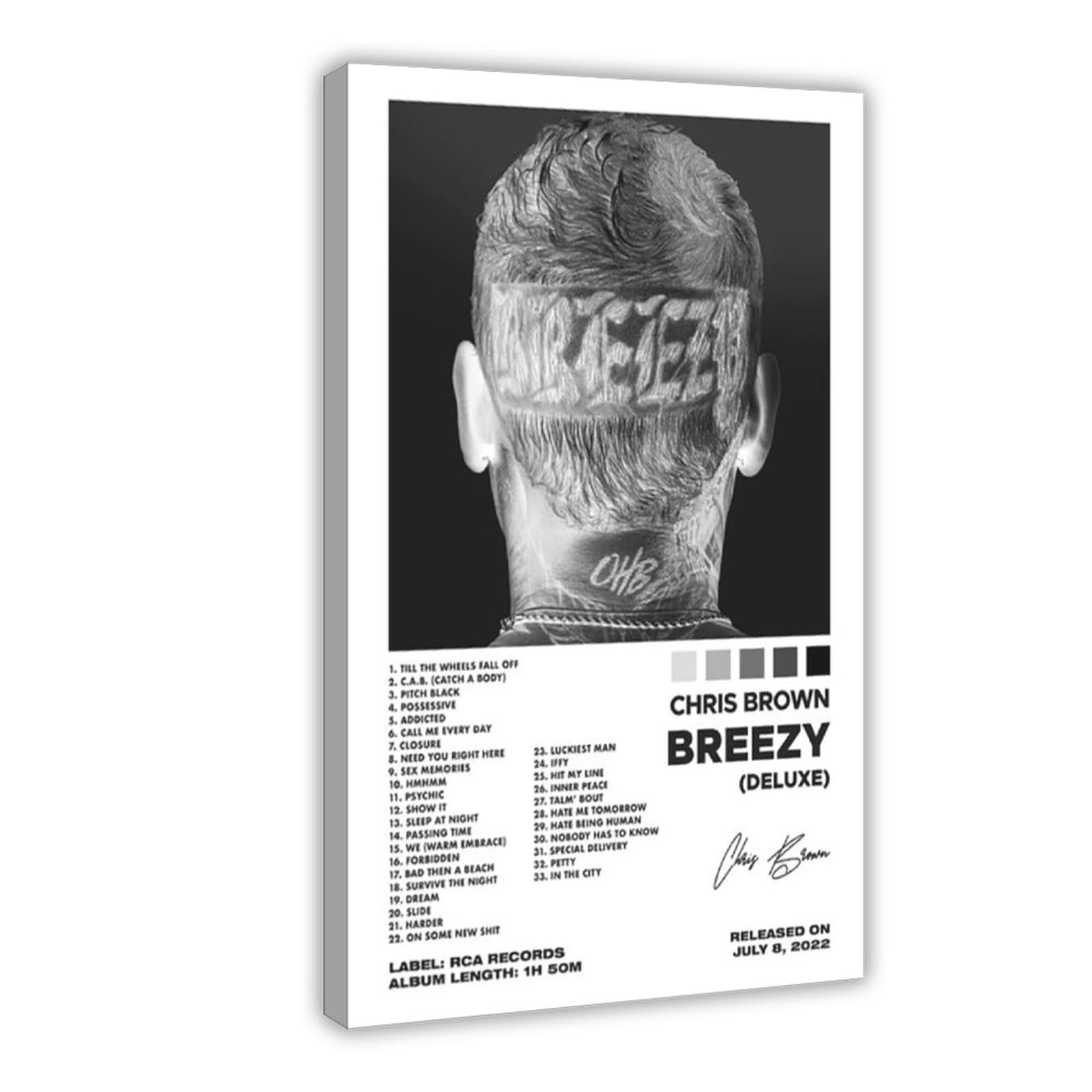 Chris Brown 2022 Album Cover