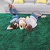 Amazon.com: OHWPEAT Fluffy Shag Area Rugs for Living Room Deep-Green ...