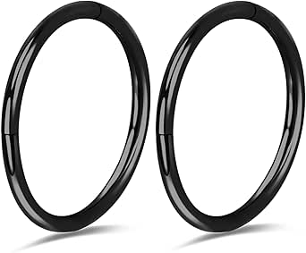 2Pcs Titanium Nose Rings 20G 18G 16G Nose Rings Hoops Diameter 5mm to ...