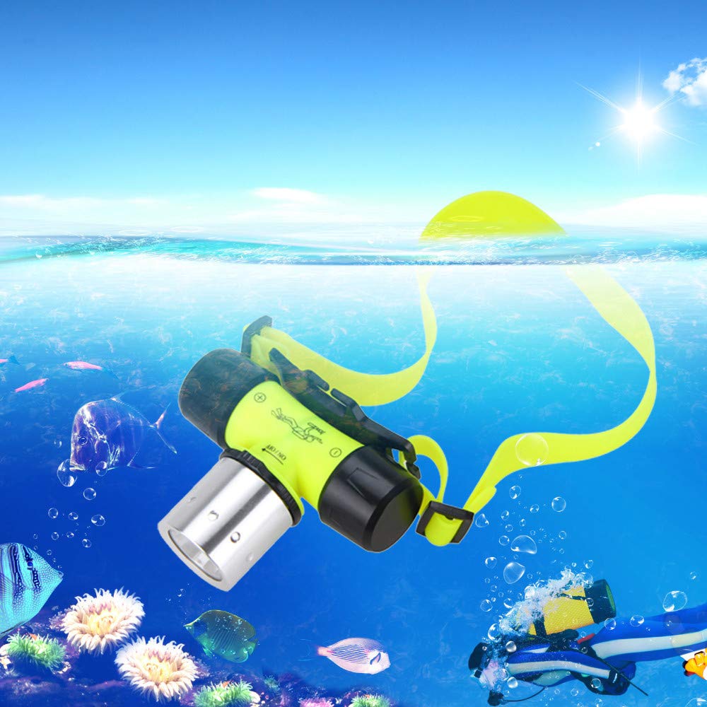 Snapklik.com : WINDFIRE Scuba Diving Headlamp Dive Light, Underwater ...