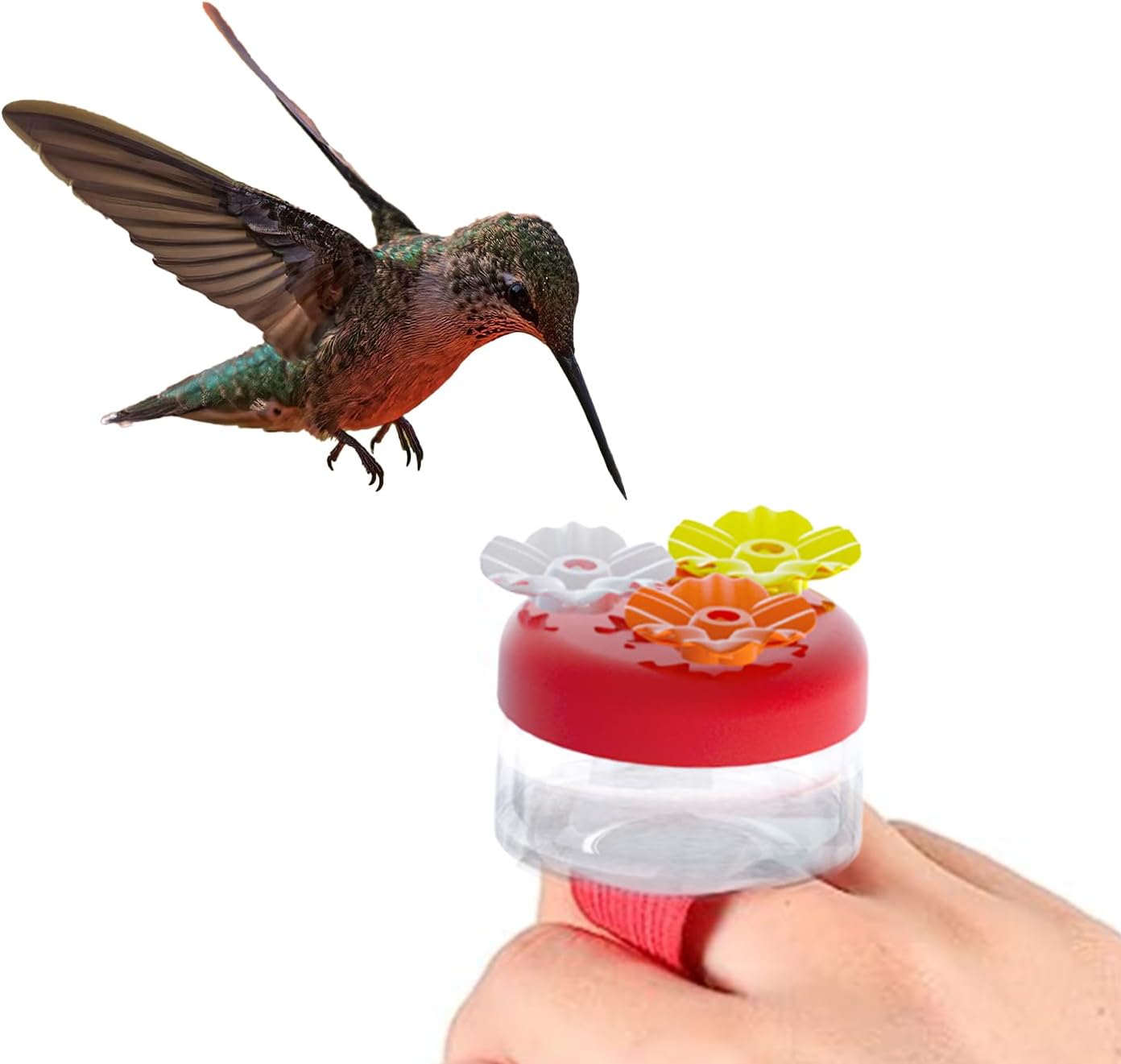 Amazon.com : ZUMMR Hummingbird Ring Feeder (Master Collection) - Hand ...