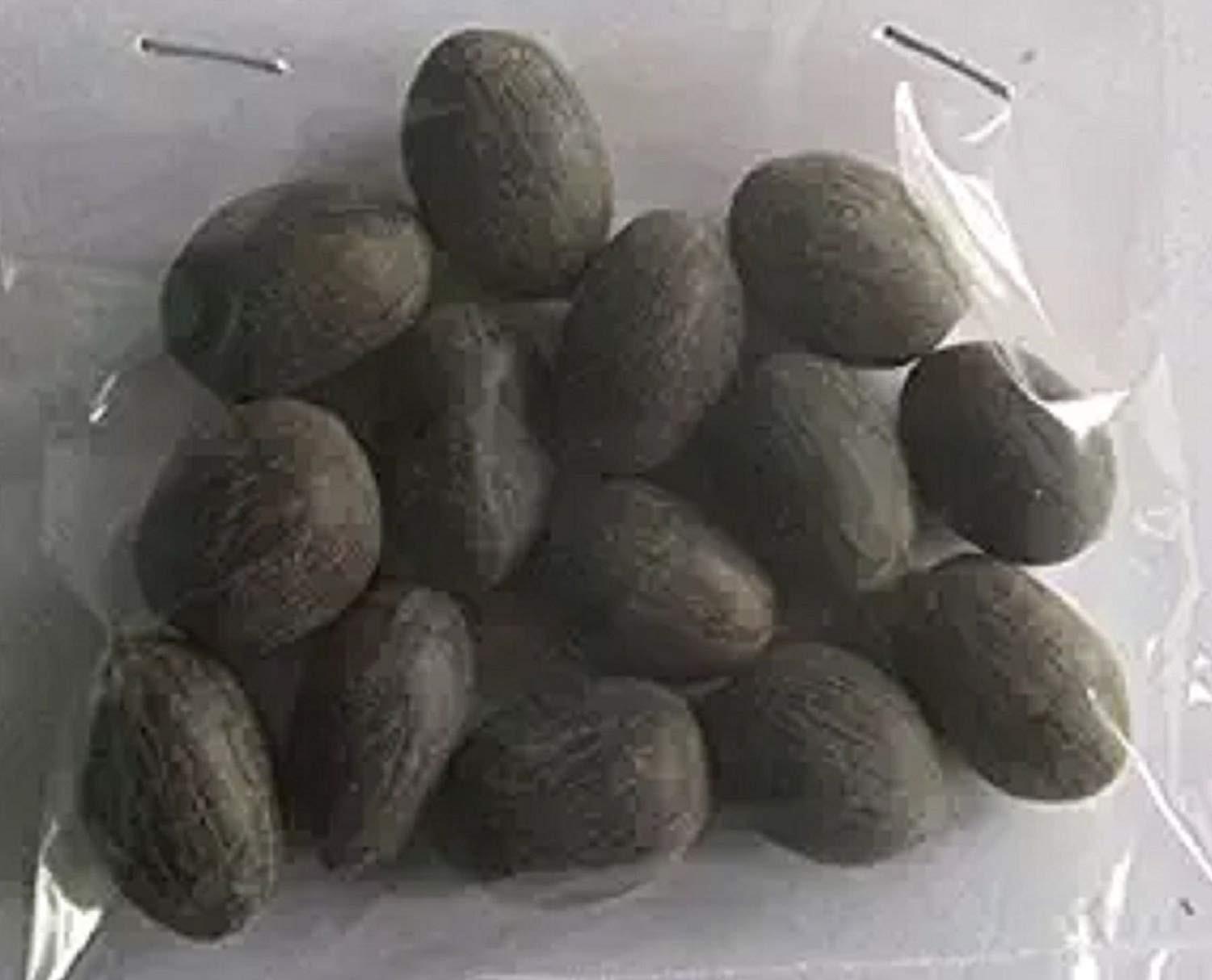 Shudh Online Kamal Gatta Seed/Lotus Seeds (100 pieces) : Amazon.in ...