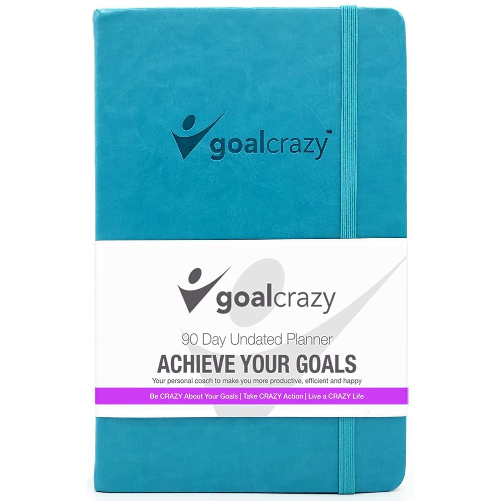 Buy Goal Crazy Undated Daily Planner 90 Day A5 Diary 2023 Planner buy-goal-crazy-undated-daily-planner-90-day-a5-diary-2023-planner
