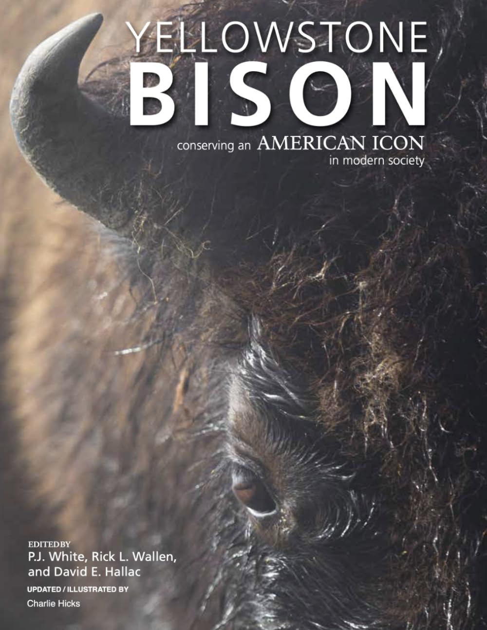 YELLOWSTONE BISON (Illustrated): Conserving an American Icon in Modern ...