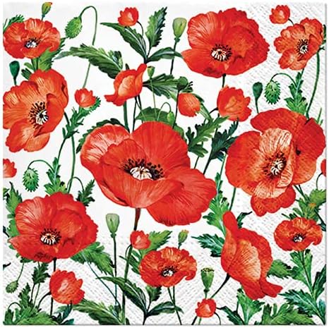 Amazon.com: Set of 2 Individual Decoupage Paper Party Napkin RED ...