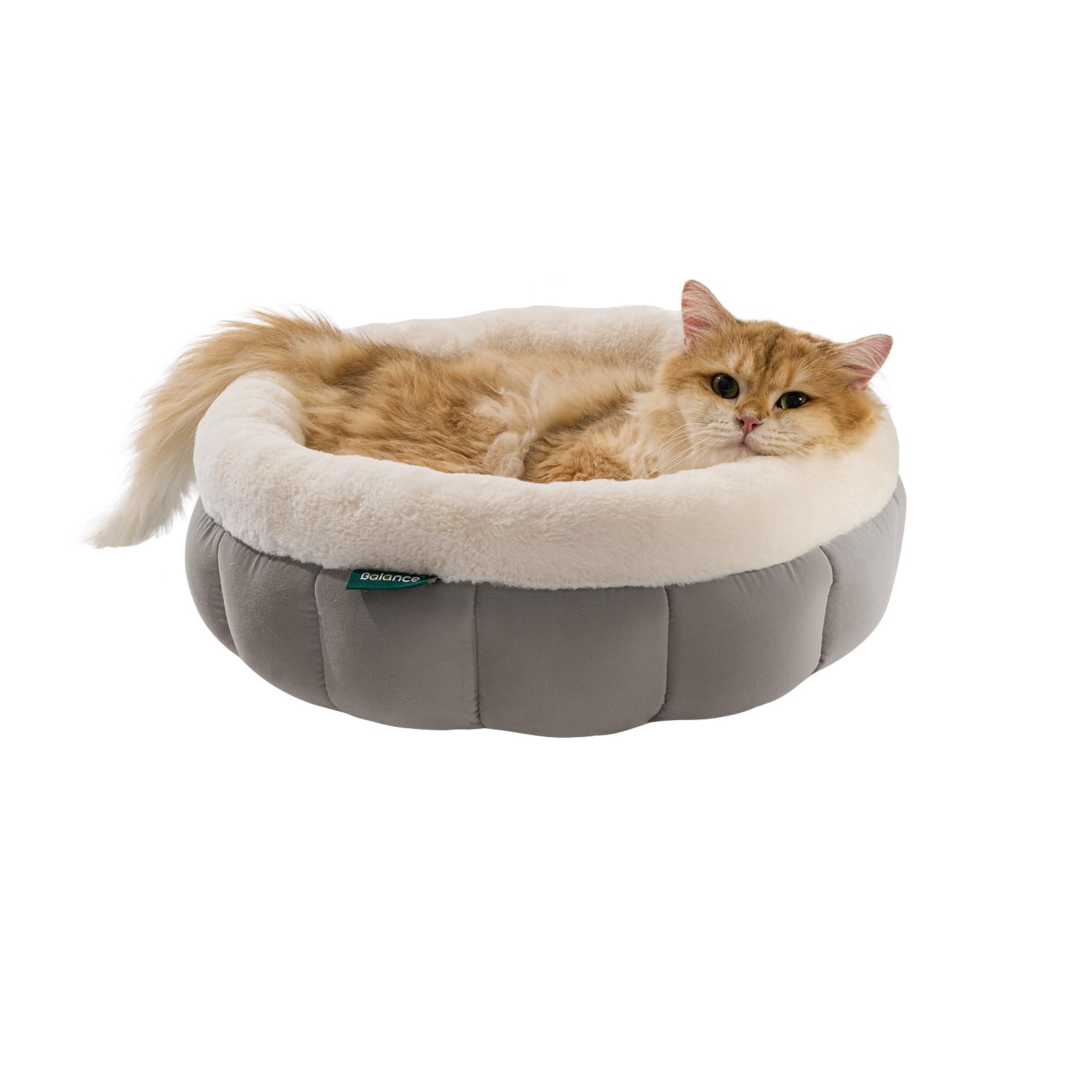 Snapklik.com : BALANCE Cat Beds For Indoor Cats, Washable Round Cat Bed ...
