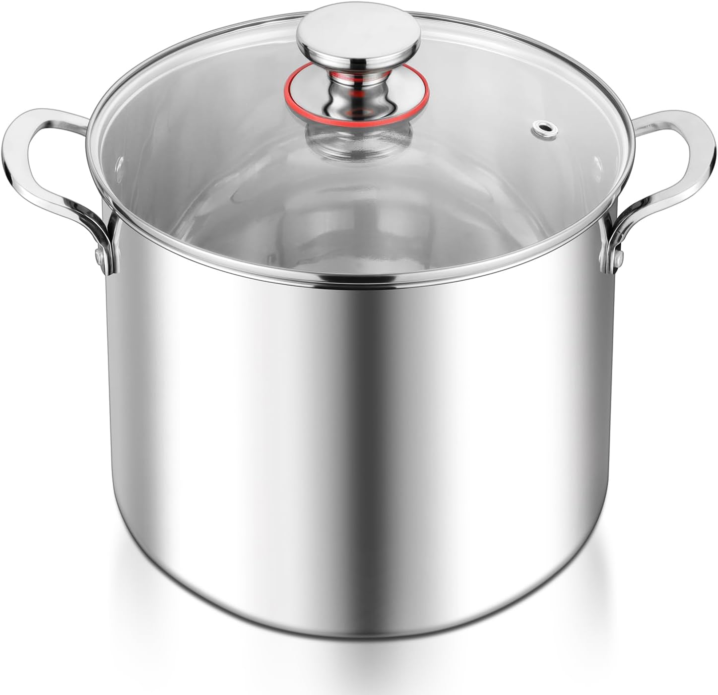 Amazon.com: Easyday Stockpot Stainless Steel Stock Pot with Lid (12 ...