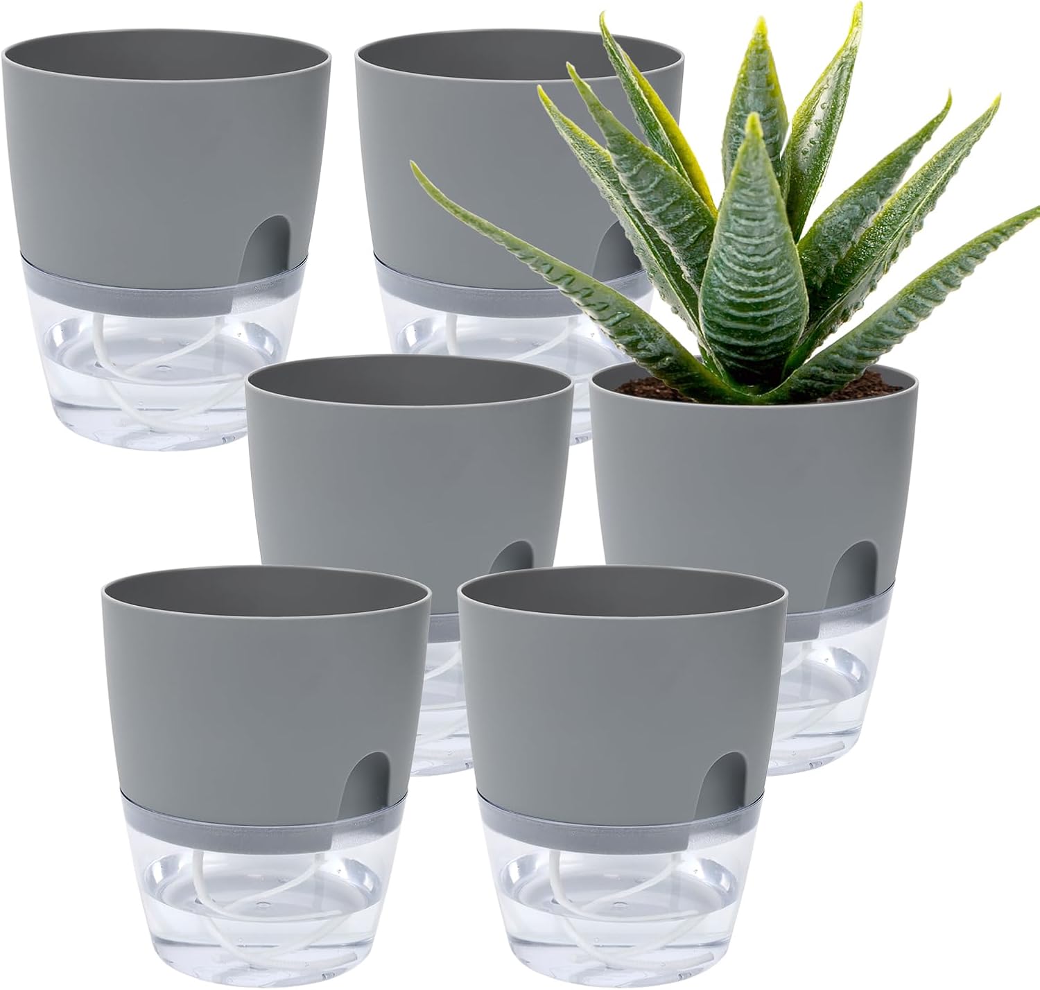 Amazon.com: Whonline 6 Pack Self Watering Pots with Bottom Watering ...
