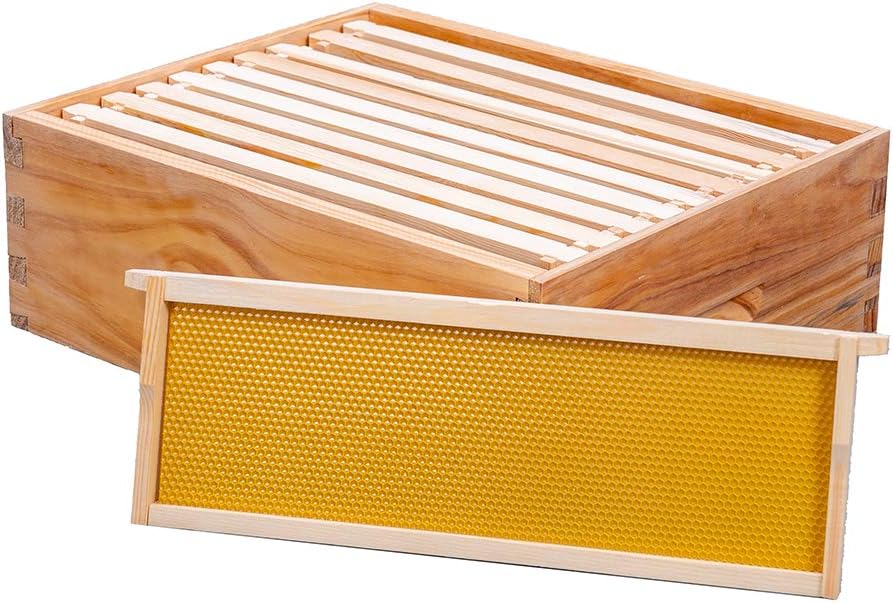 Amazon.com : POLLIBEE Bee Hive Medium Super Box, 10 Frame Beeswax ...