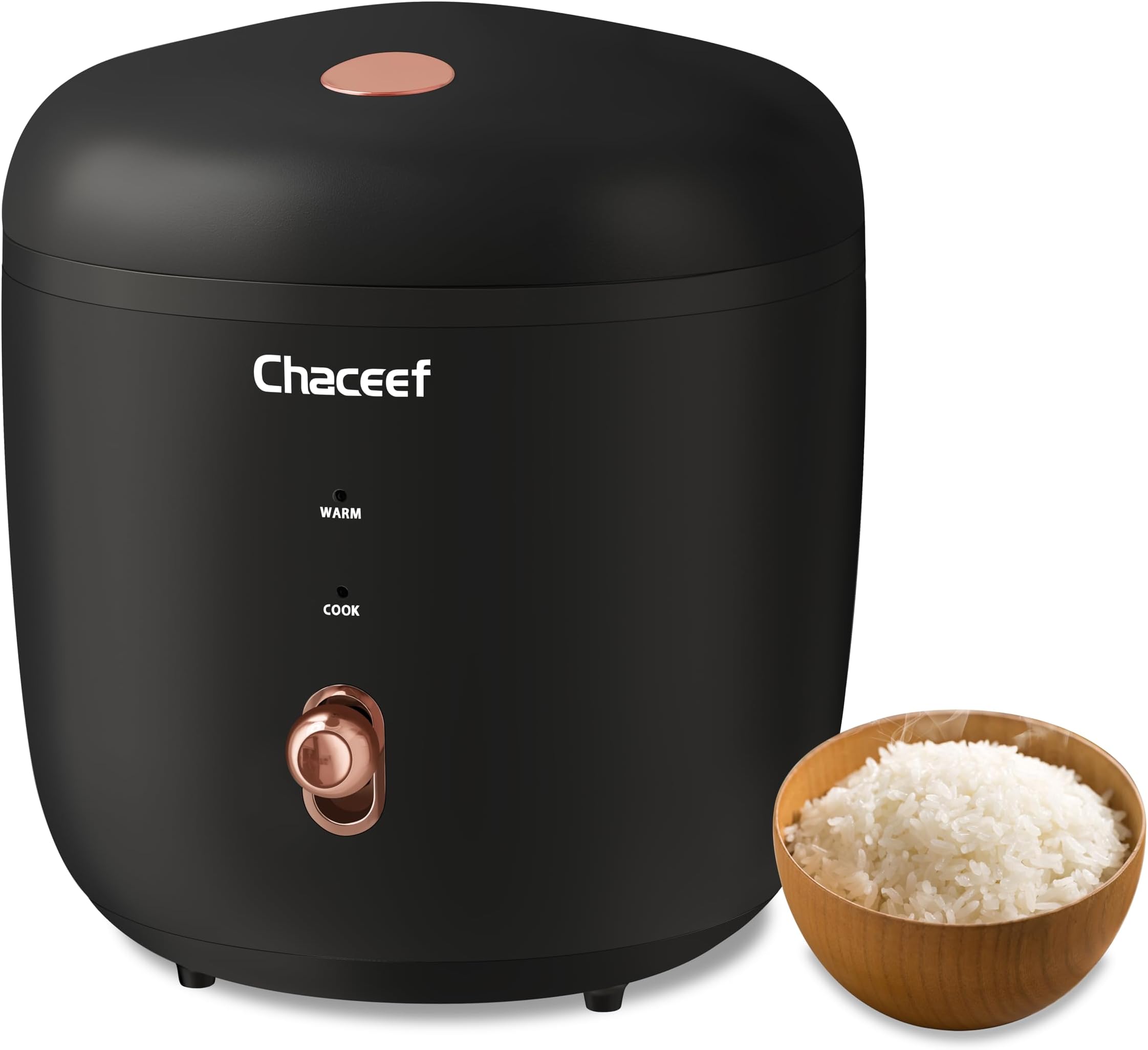 Amazon.com: 1 Cup Mini Rice Cooker Steamer 12V For Car, Cooking For ...