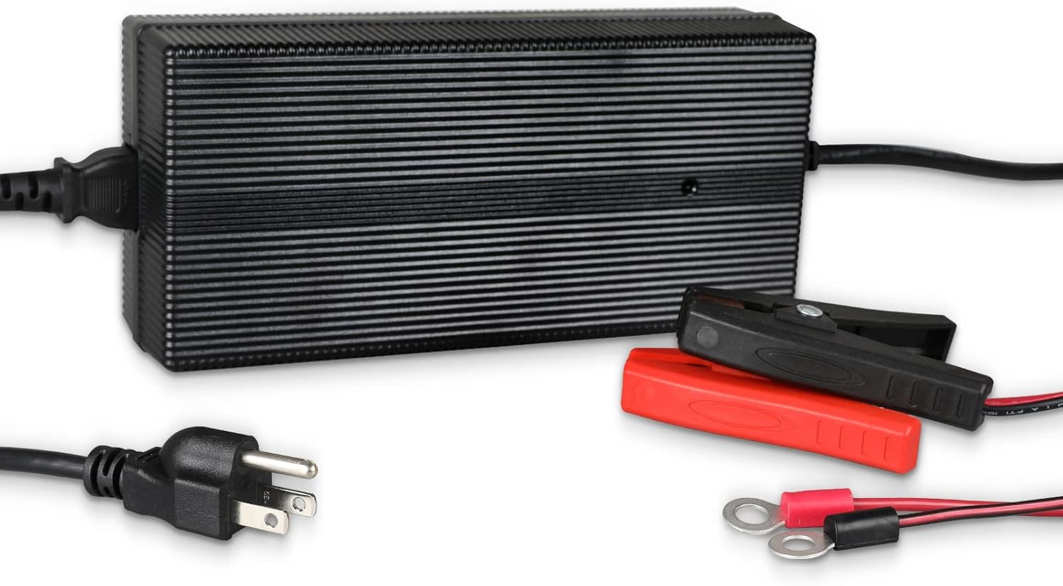 Renogy 12V 20A AC-to-DC LFP Portable Battery Charger Plug-and-Play with ...