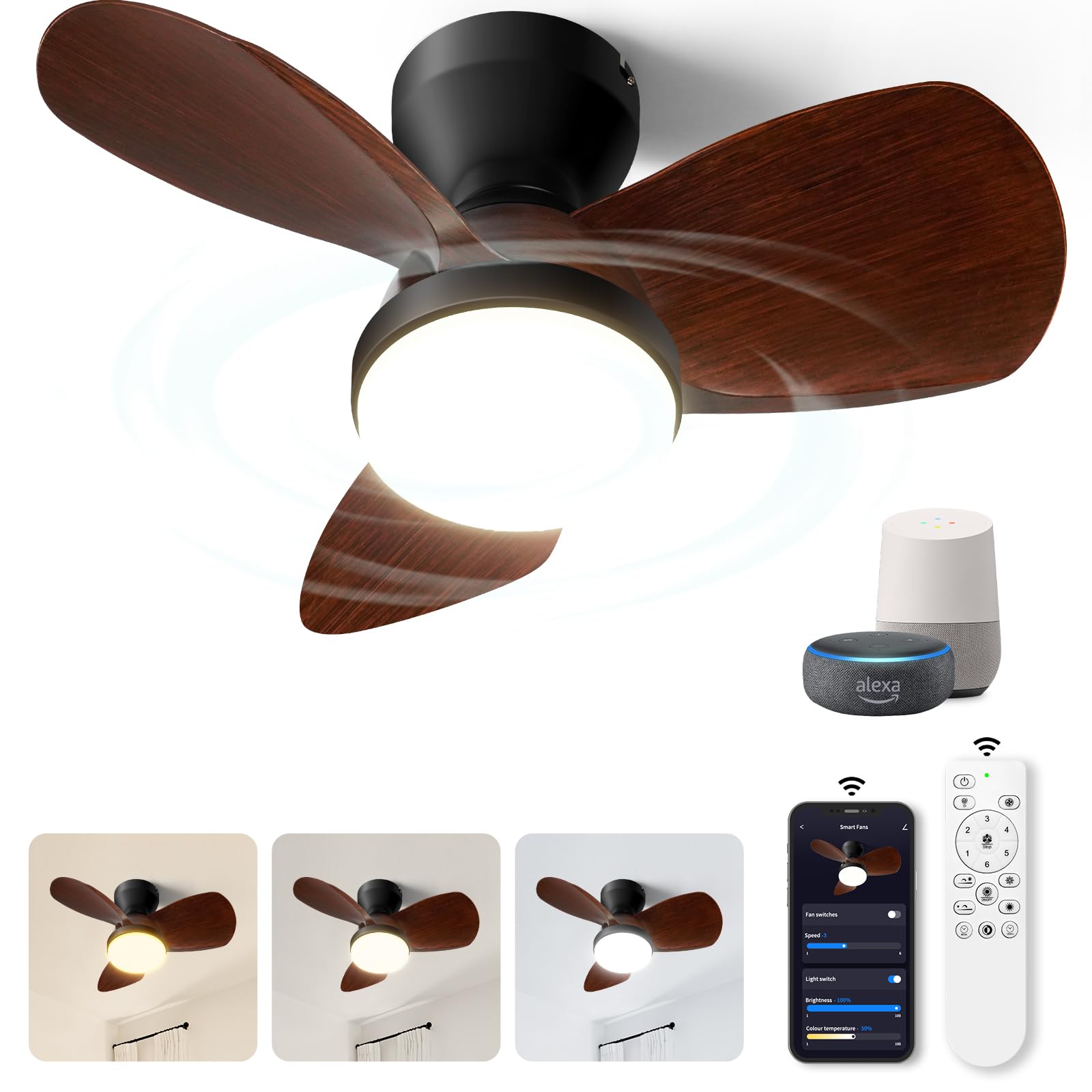 Amazon.com: OKELI Alexa Smart Ceiling Fans, 24 inch Small Ceiling Fans ...