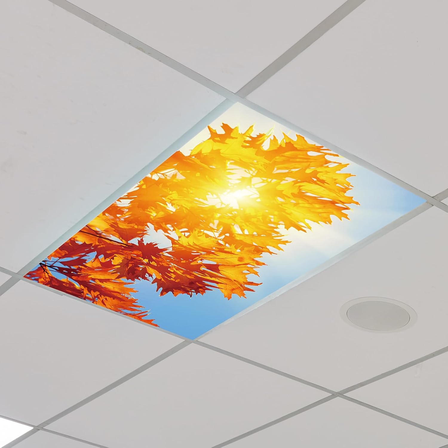 Amazon.com: Outus Fluorescent Light Cover Classroom Lighting Cover with ...