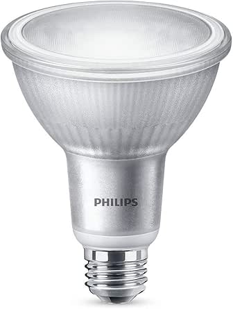 PHILIPS LED Dimmable PAR30L Bright White Long Neck Indoor/Outdoor Flood ...