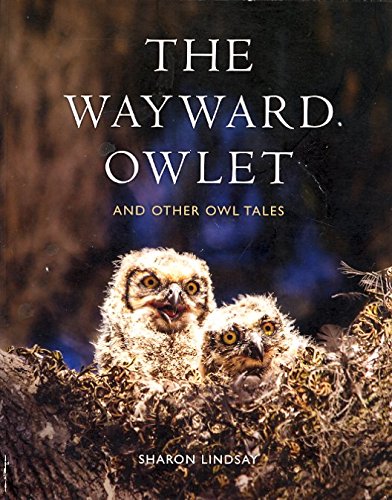 The Wayward Owlet: Sharon Lindsay: 9780615711454: Amazon.com: Books