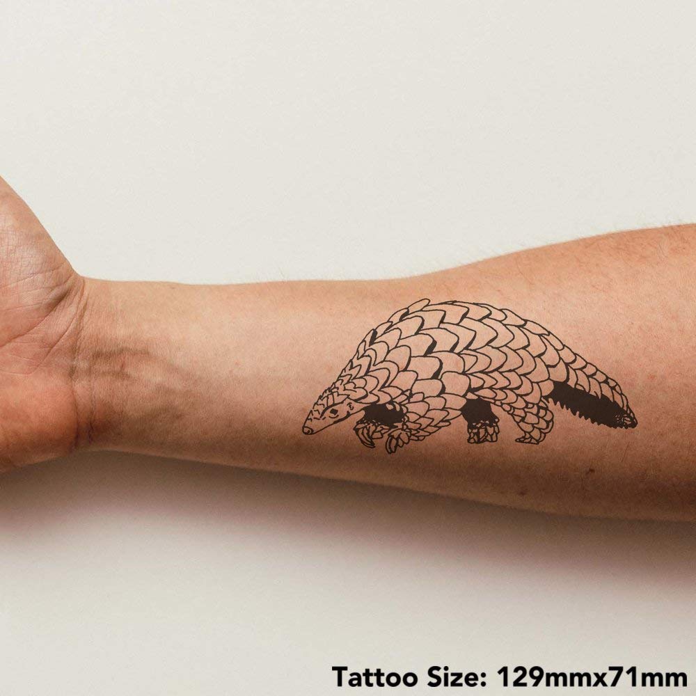 Pangolin Tattoos Amazon.com : Cautious Pangolin Walking Endangered