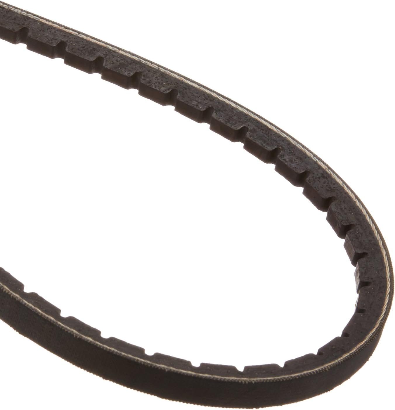 Amazon.com: Dayco 3Vx530 Gold Label Cogged V-Belt : Automotive