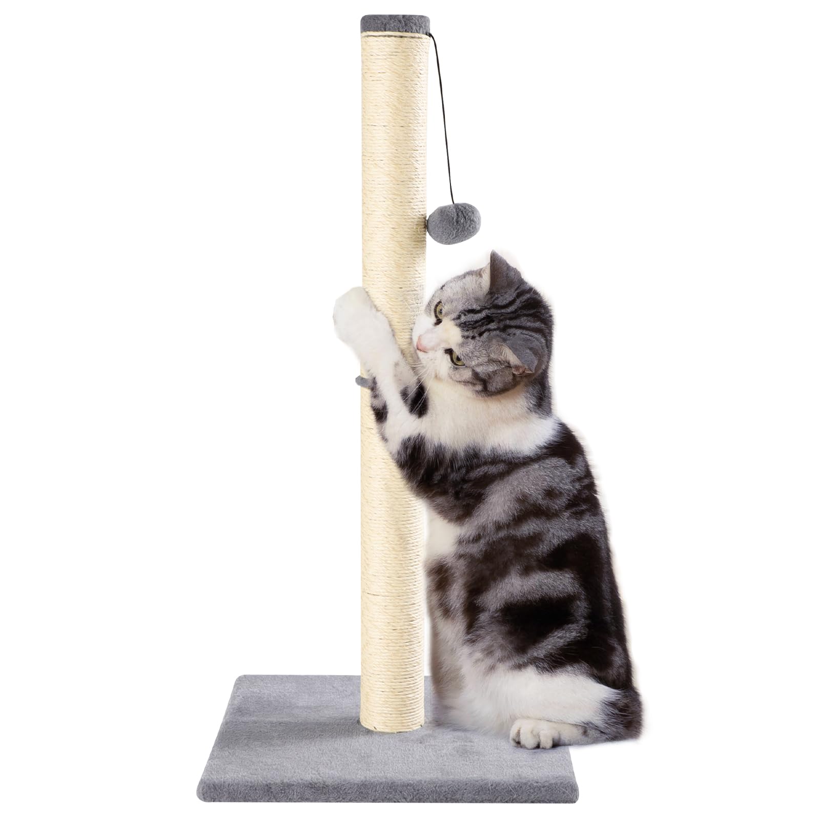 Poils bebe Cat Scratching Post for Indoor Cats, 29-inch Cat Scratch ...