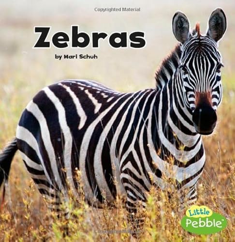 25 EXCITING Books About Zebras For Kids! - Epic Book Society