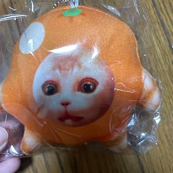 Amazon.co.jp: Cat Meme Keychain 888 to 800 : Clothing, Shoes & Jewelry