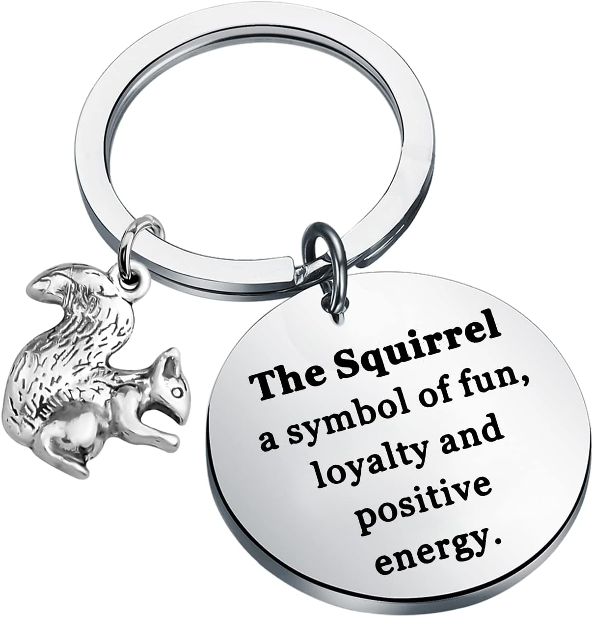 Amazon.com: ENSIANTH Squirrel keychain Squirrel Inspirational Gift ...