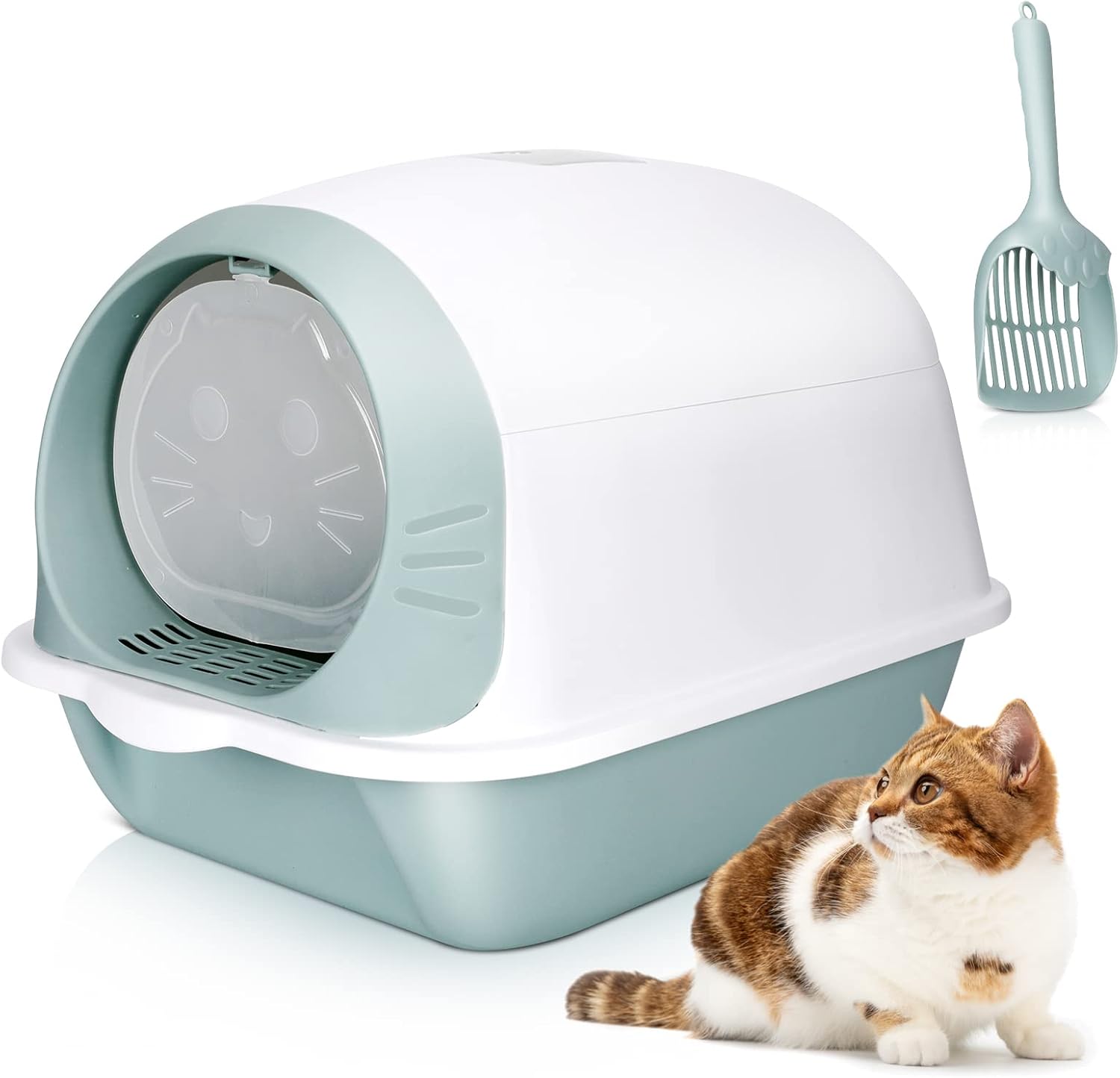 Amazon.com: Kphico Cat Litter Box,Cat Potty with Cat Litter Scoop and ...