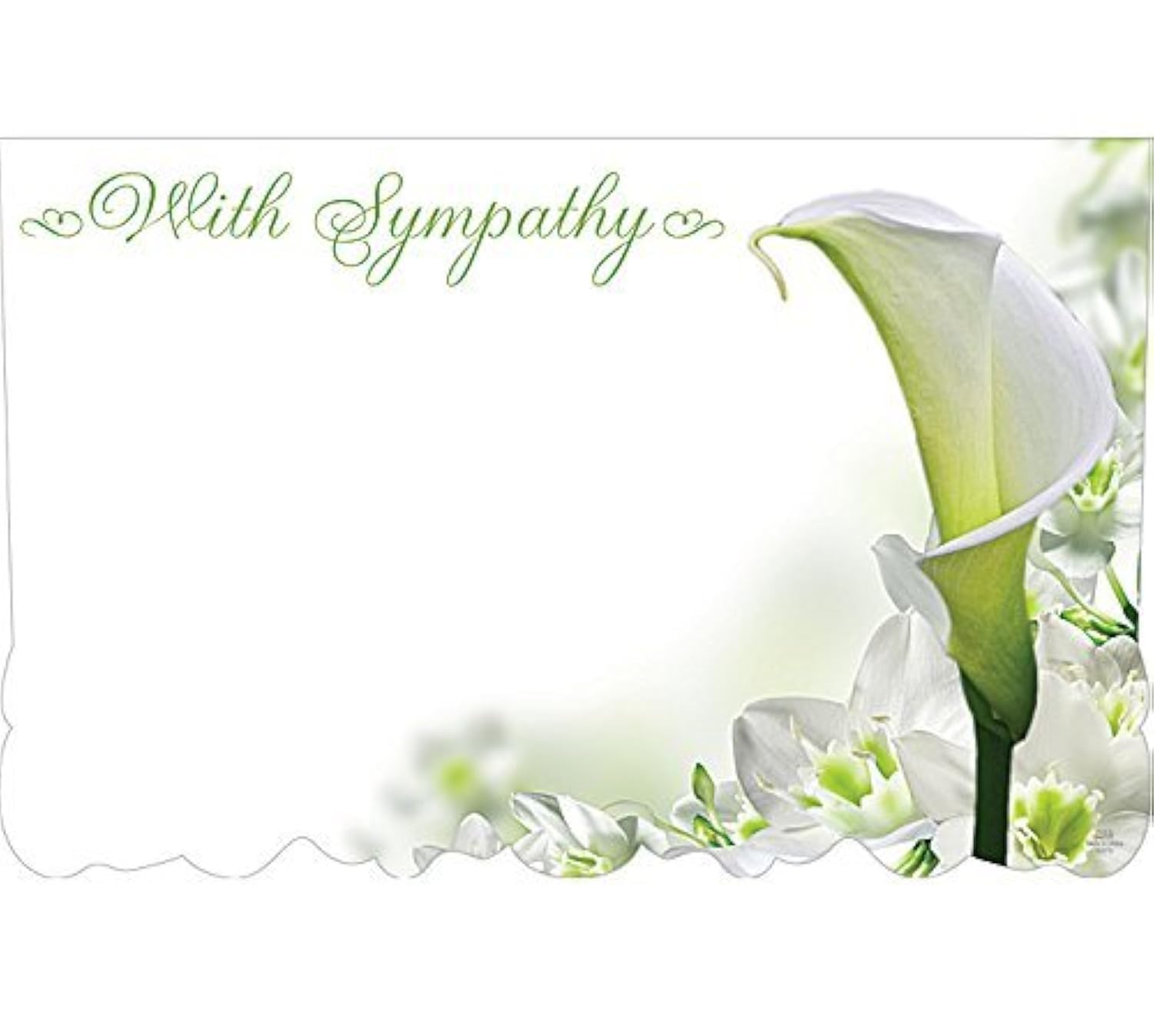 Snapklik.com : With Sympathy Condolence Enclosure Cards, Pack Of 50