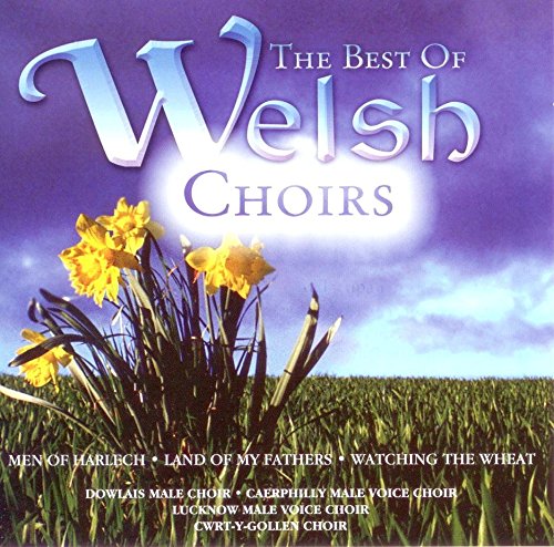 Buy Best of Welsh Choirs Online at Low Prices in India | Amazon Music ...