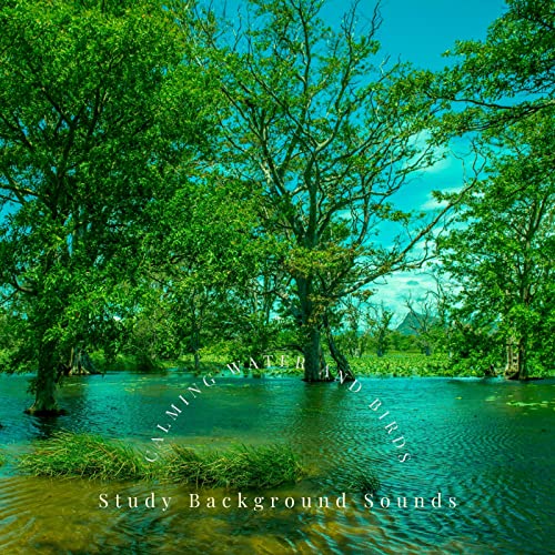 Amazon Music - Study Background SoundsのCalming Water and Birds - Amazon ...