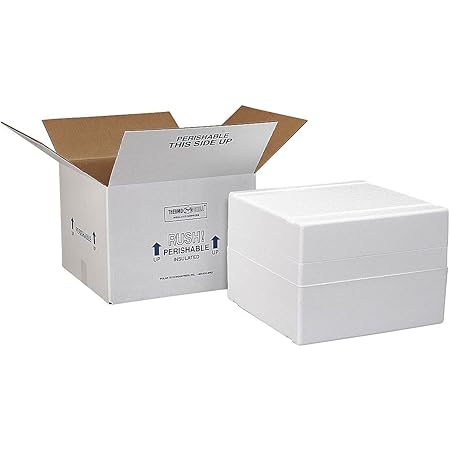 Amazon.com: WE 4Life Thermo Chill Double Insulated Shipping Box with ...