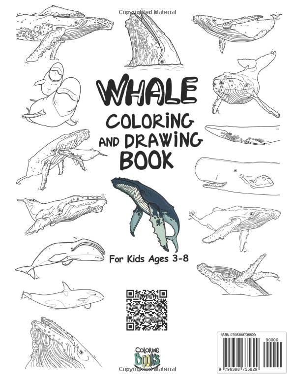 Whale Coloring and Drawing Book For Kids Ages 3-8: Fun with Coloring ...