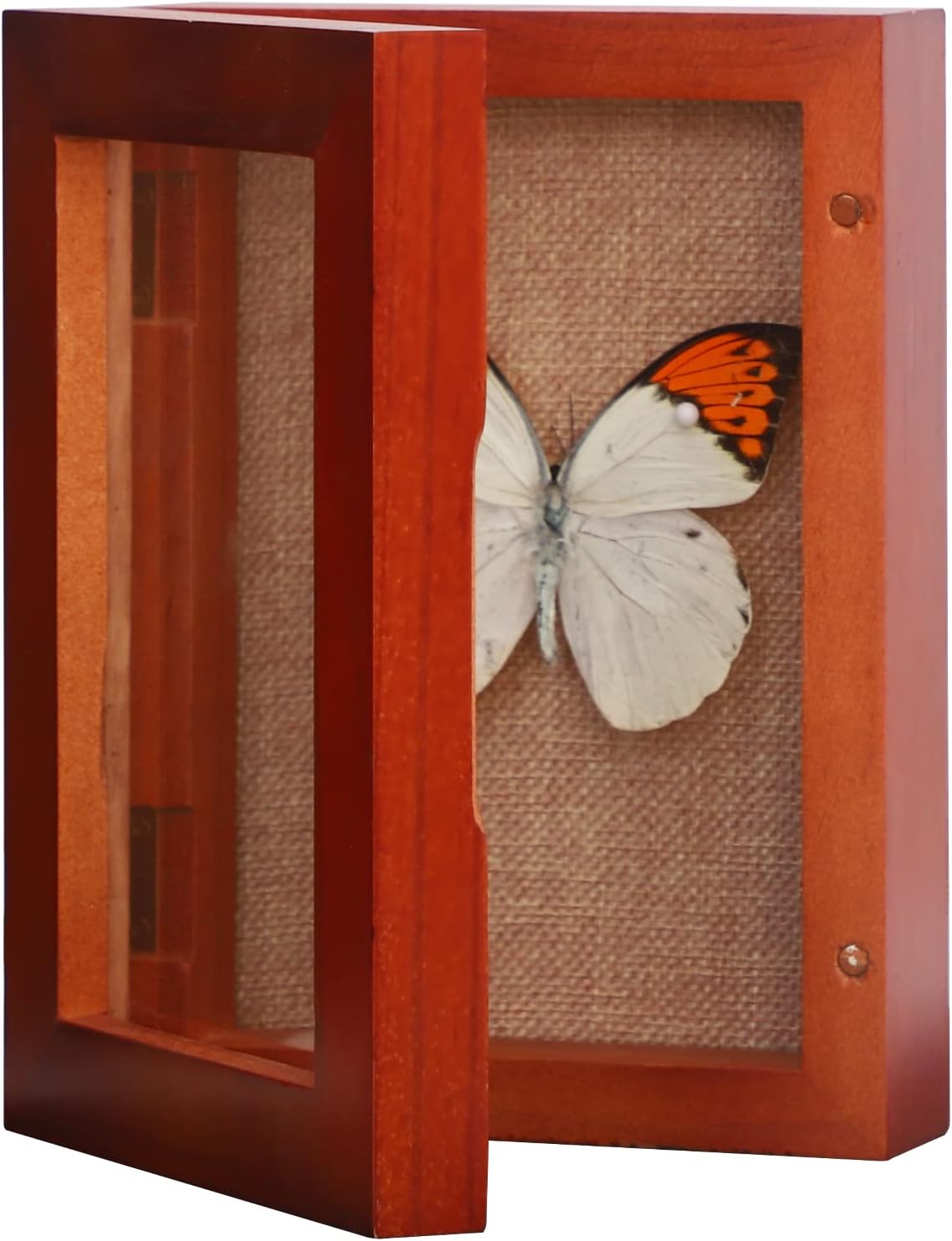 Amazon.com - 4 Pcs 8 x 10 Shadow Box Frame Wood Deep Shadowbox Display ...