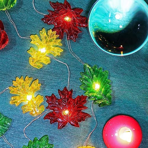 Amazon.com: Big Fall Leaf lights and Ocean Themed String LIghts : Home ...