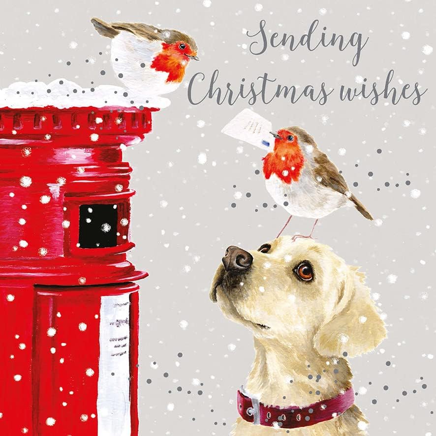 Wrendale Designs Hannah Dale - Letters To Santa - Luxury Christmas Card Set - Pack of 8 : Amazon ...