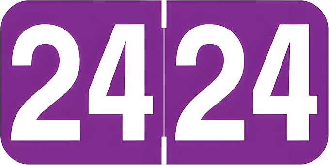 Amazon.com : 2024 Year Stickers, Doctor Stuff 2024 Chart Stickers ...