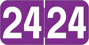 Amazon.com : 2024 Year Stickers, Doctor Stuff 2024 Chart Stickers ...