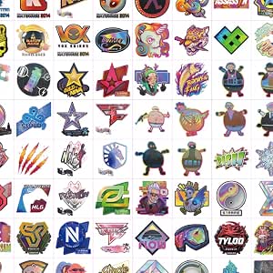 Amazon.com: csgo Stickers Holographic (2Team Dignitas 4PCS) : Toys & Games