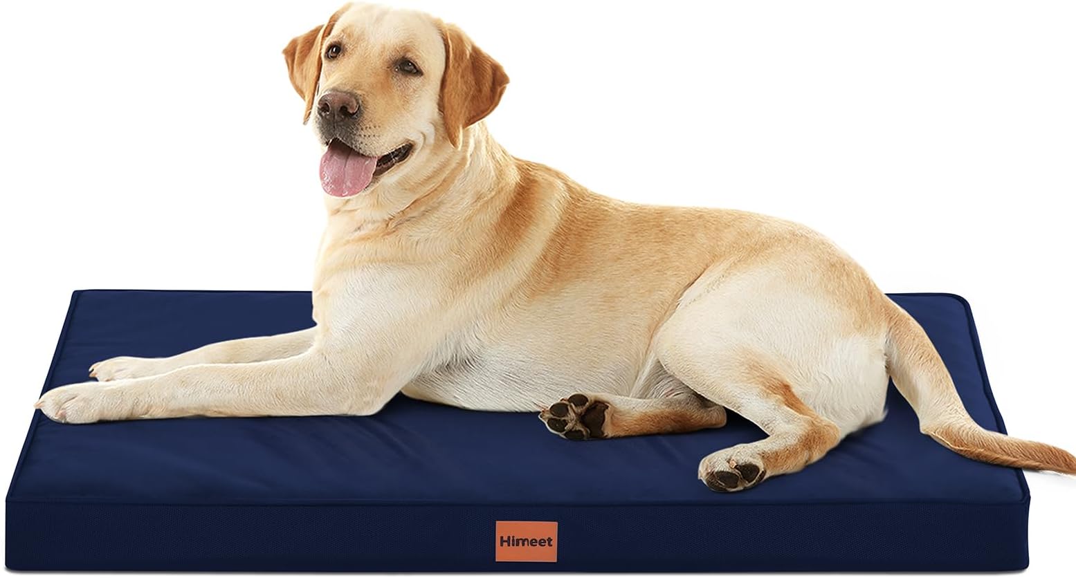 Amazon.com : HIMEET- Indestructible Dog Bed with Durable Oxford Frame ...