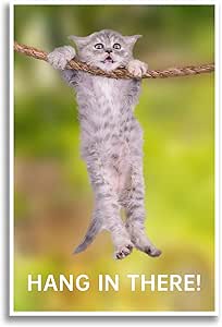 Hang in There Cat Poster - Funny Cat Posters for Wall, Motivational Cat ...