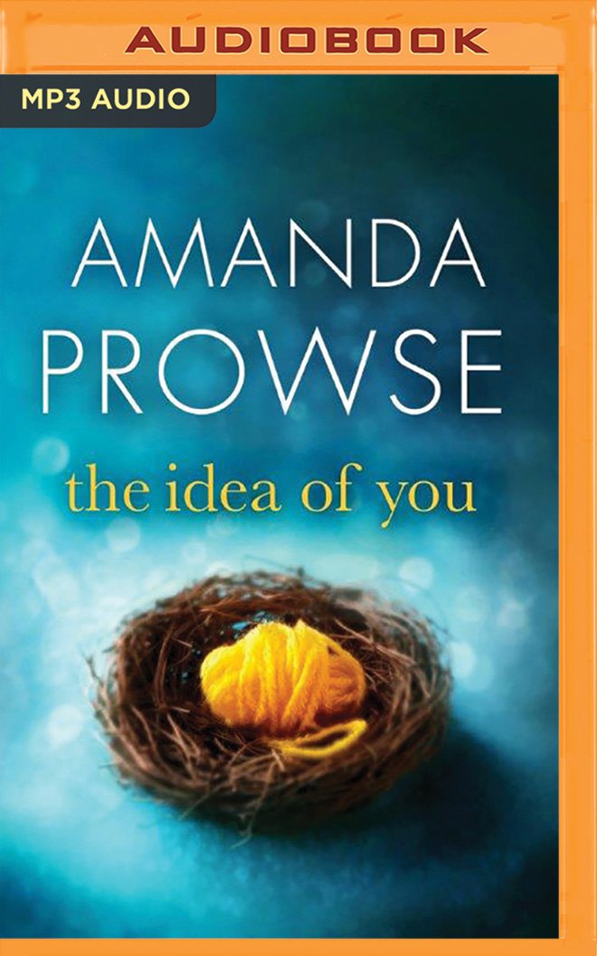 Idea of You, The: Amanda Prowse, Amanda Prowse: 9781536619300: Amazon ...