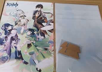 Amazon.co.jp: Haragami Fan Book, B5 Size Visual Board, Acrylic Panel ...