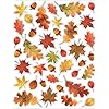 Amazon.com: Iconikal Autumn Leaves Window Clings, Fall Leaf Window ...