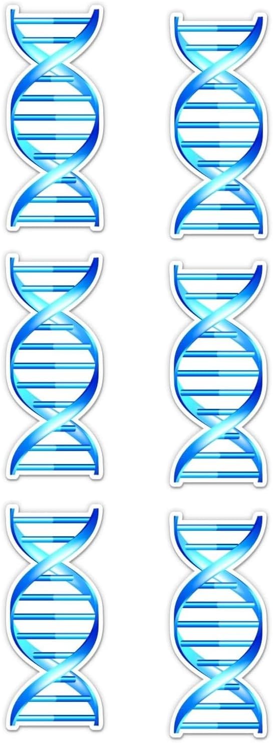 Amazon.com - RM Dream Designs Pack of 6-2'' Stickers - DNA Blue Double ...